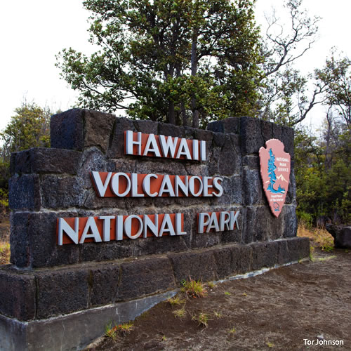 CMS - Website Content