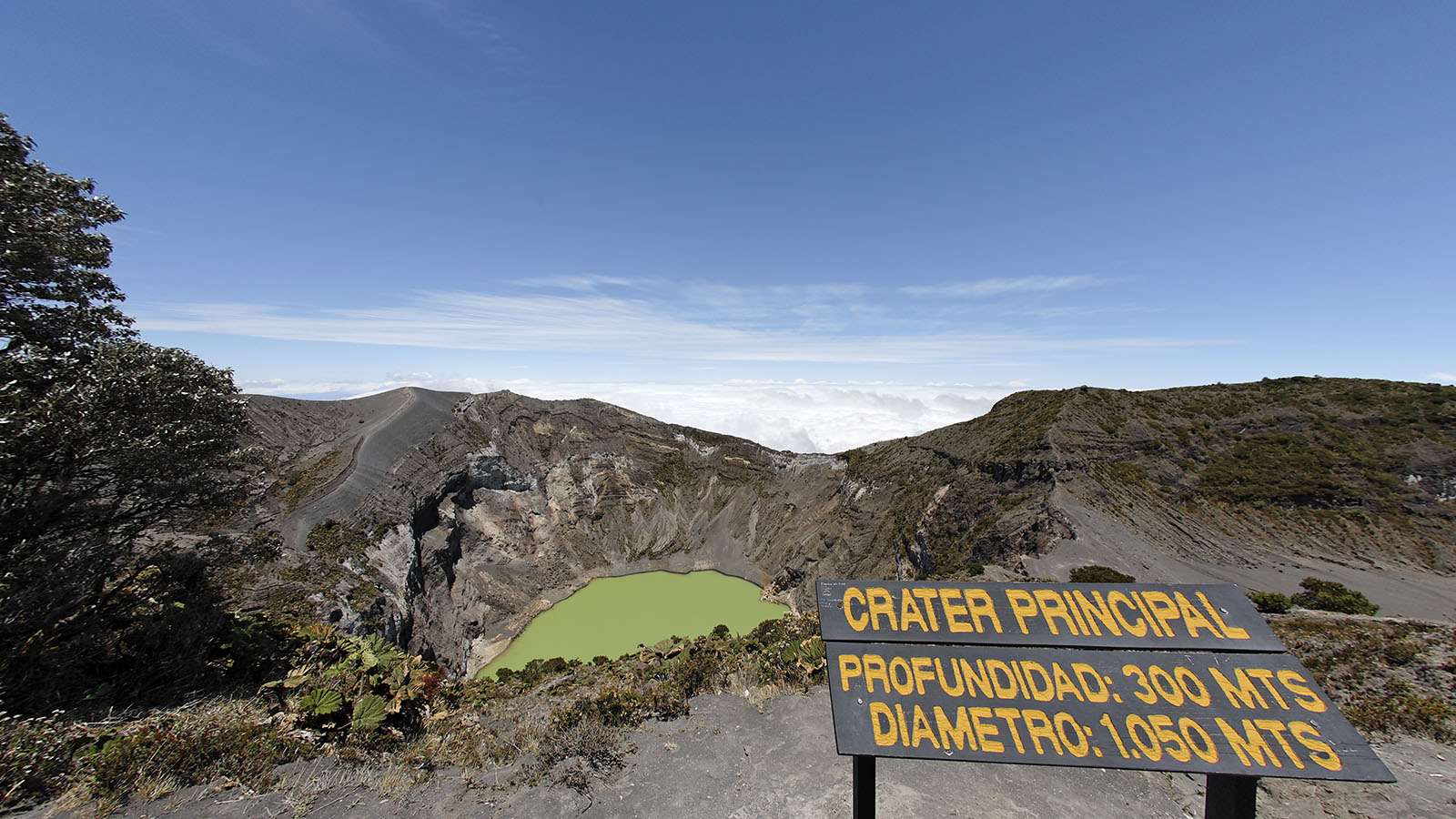 Central Volcanic Forest Reserve - Travel Guide - Tripmasters Travel