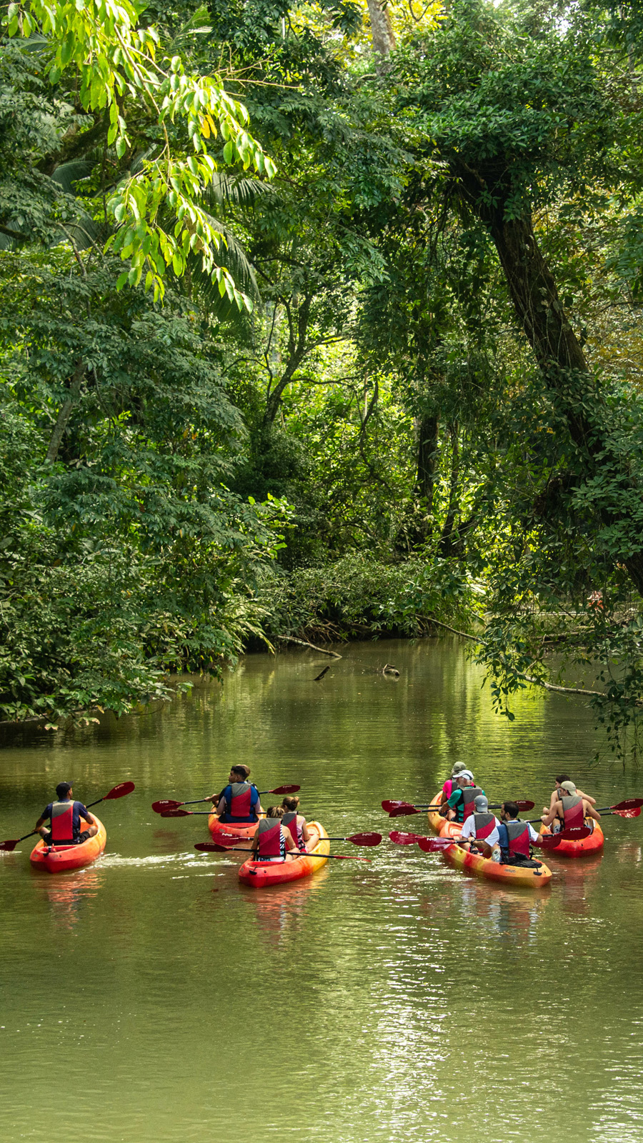 Where to Stay - Sarapiqui Rainforest - Tripmasters Travel